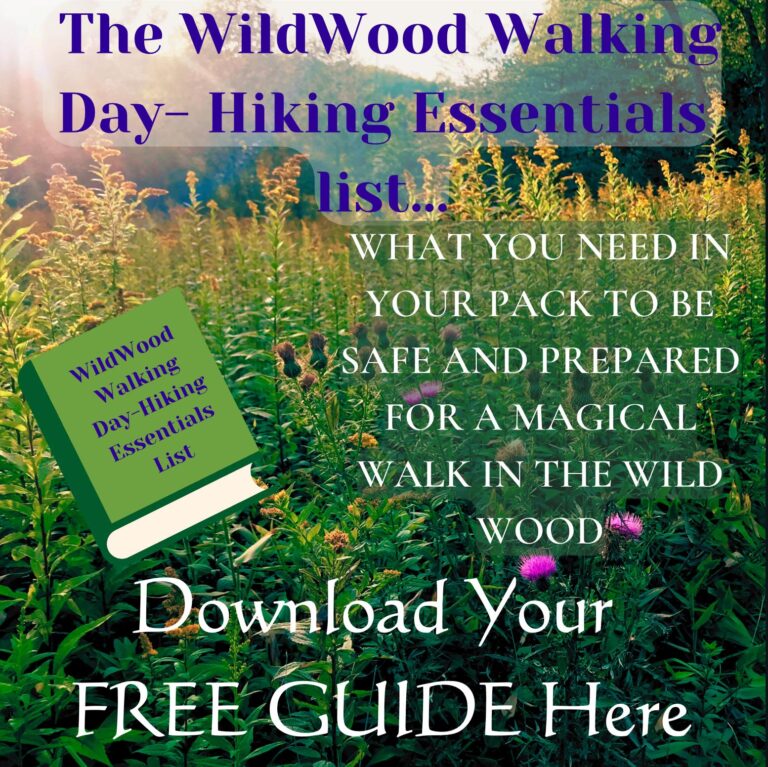 MY FAVORITE PRACTICAL TIPS TO BEGIN WALKING AS A SACRED PRACTICE ...
